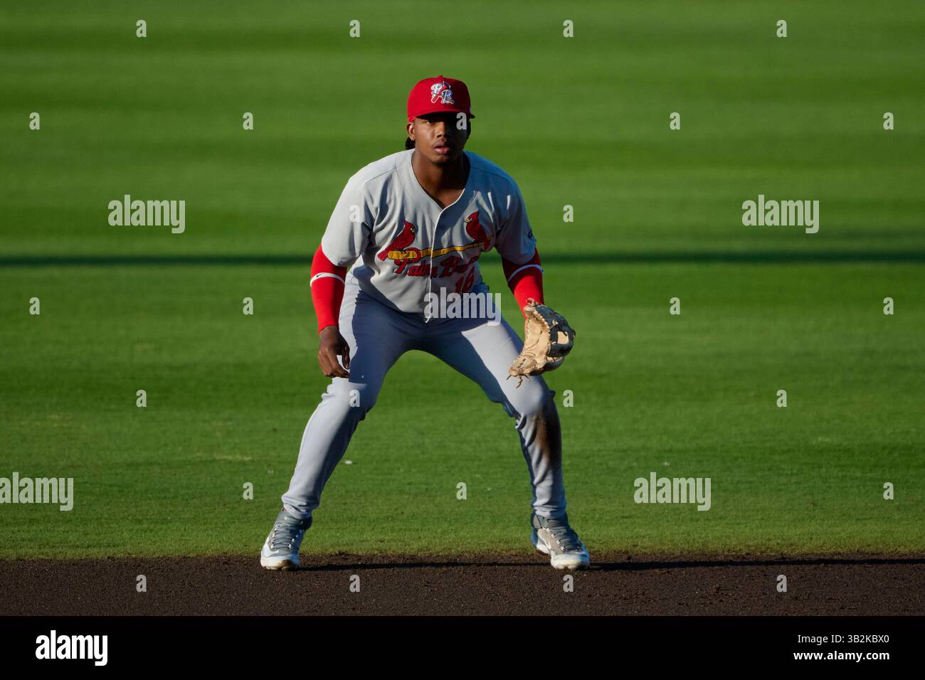 Palm Beach Cardinals shortstop Anyelo Encarnacion (16) during an MiLB ...