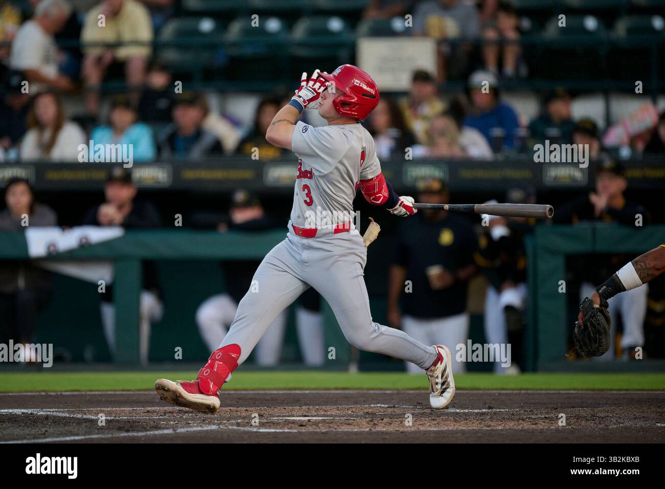 Palm Beach Cardinals Christian Martin (3) bats during an MiLB Florida ...