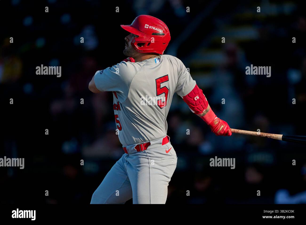 Palm Beach Cardinals Bryce Madron (5) bats during an MiLB Florida State ...