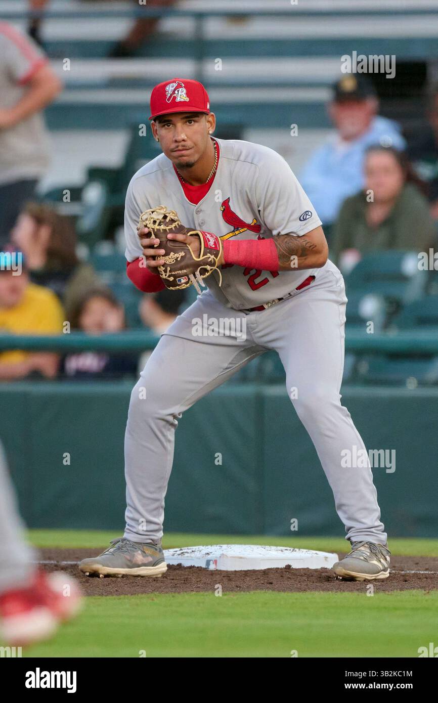 Palm Beach Cardinals first baseman Deniel Ortiz (21) during an MiLB ...