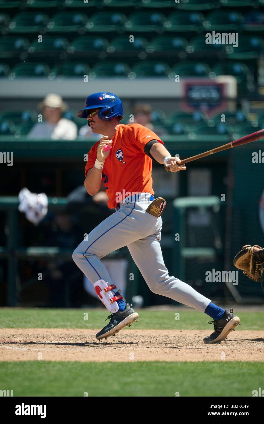St. Lucie Mets Trace Willhoite (29) bats during an MiLB Florida State ...