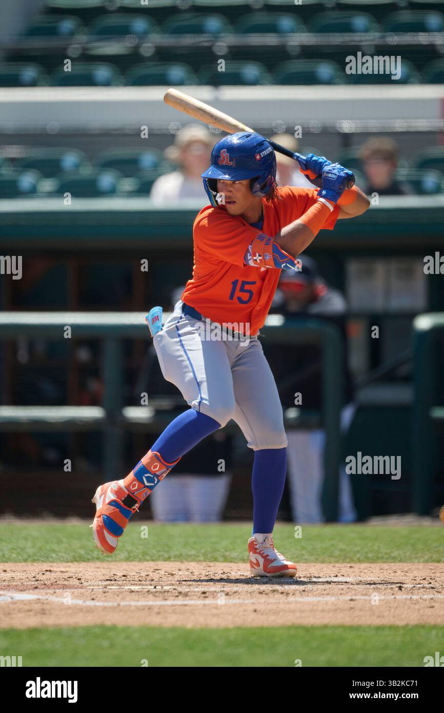 St. Lucie Mets Jeremy Rodriguez (15) bats during an MiLB Florida State ...