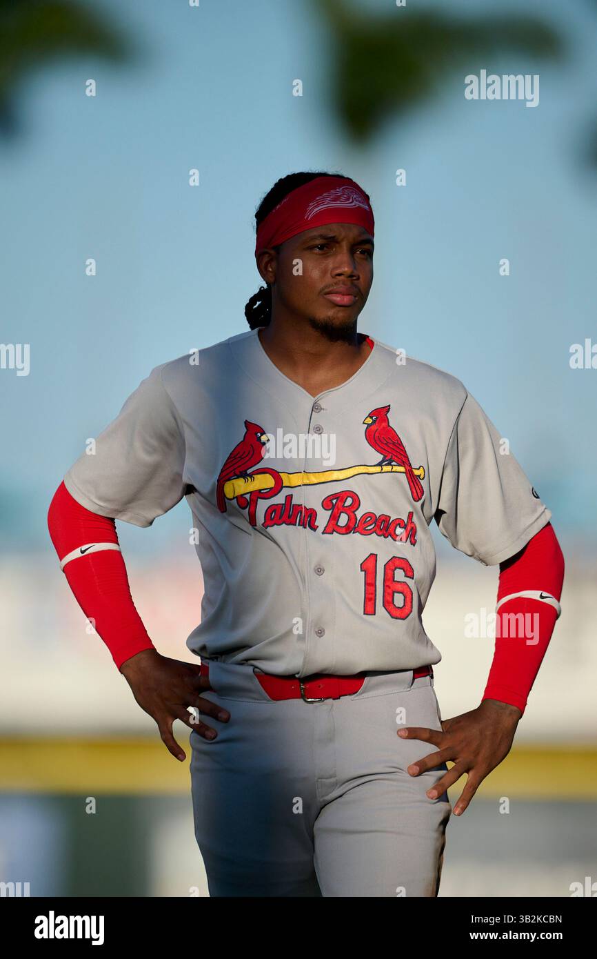 Palm Beach Cardinals Anyelo Encarnacion (16) during an MiLB Florida ...