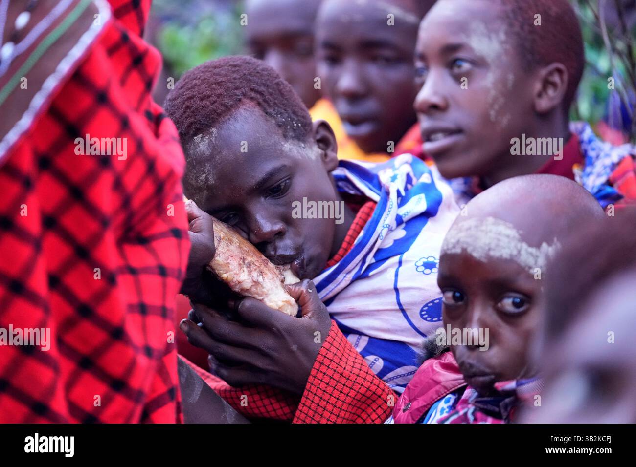 Children of the Maasai tribe are fed meat, during the Enkipaata ...