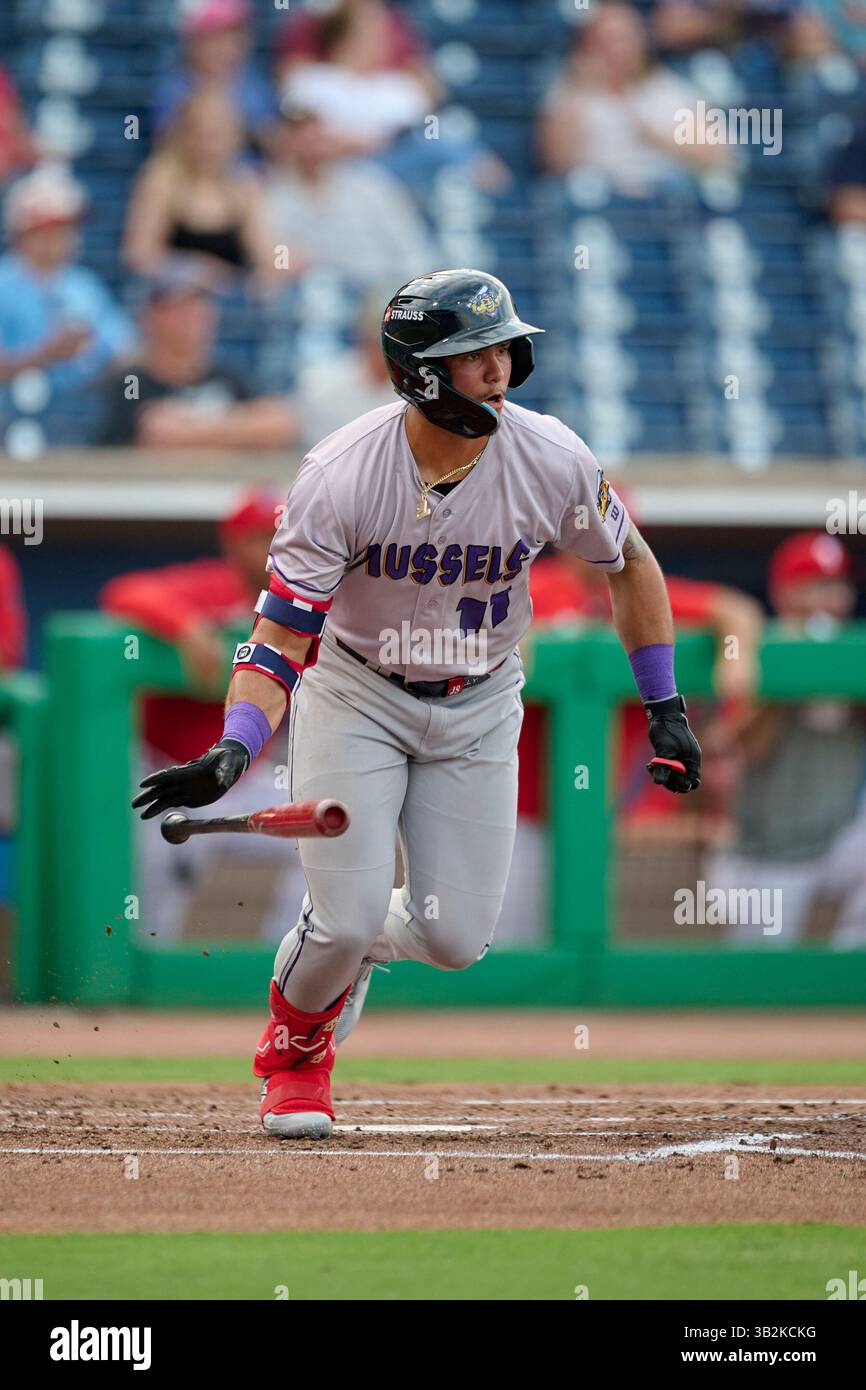Fort Myers Mighty Mussels Jose Salas (11) bats during an MiLB Florida ...
