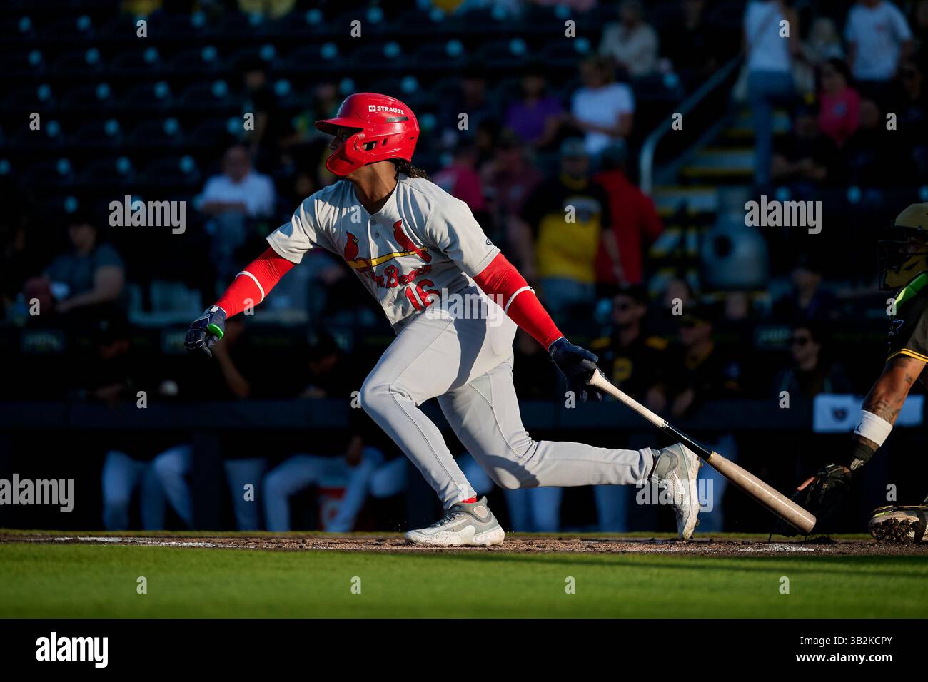Palm Beach Cardinals Anyelo Encarnacion (16) bats during an MiLB ...