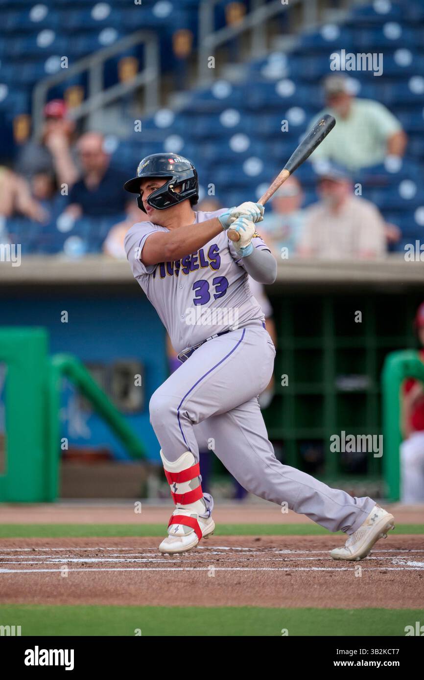 Fort Myers Mighty Mussels catcher Daniel Pena (33) bats during an MiLB ...