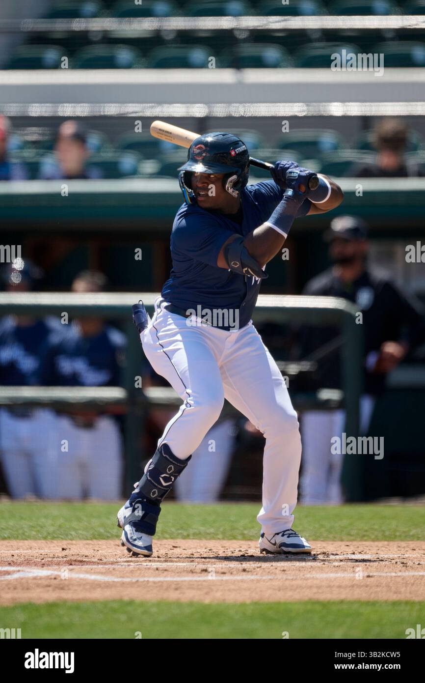 Lakeland Flying Tigers Nomar Fana (14) bats during an MiLB Florida ...