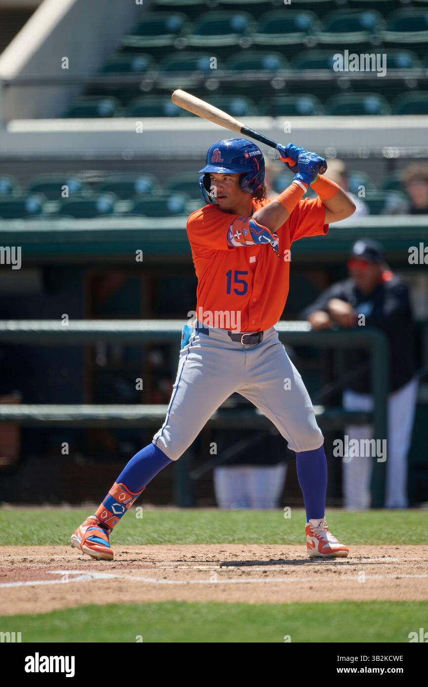 St. Lucie Mets Jeremy Rodriguez (15) bats during an MiLB Florida State ...