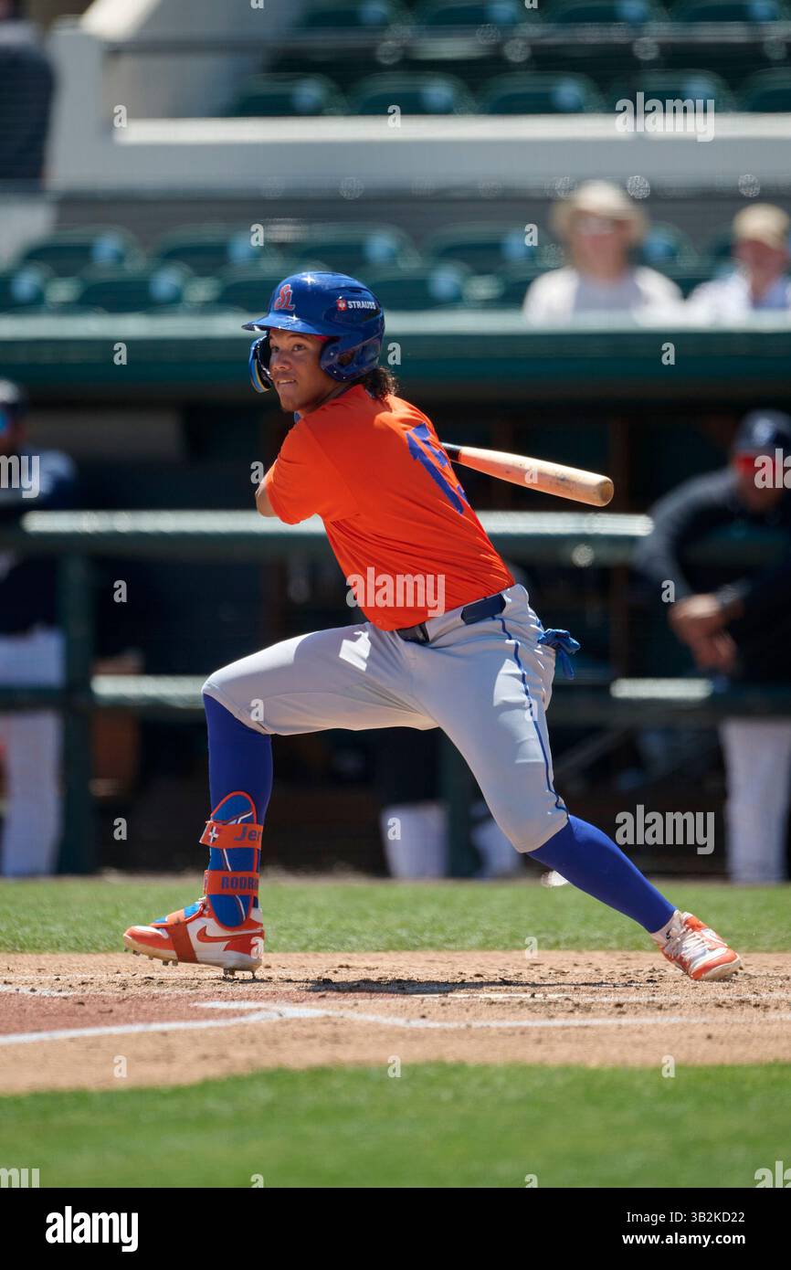 St. Lucie Mets Jeremy Rodriguez (15) bats during an MiLB Florida State ...