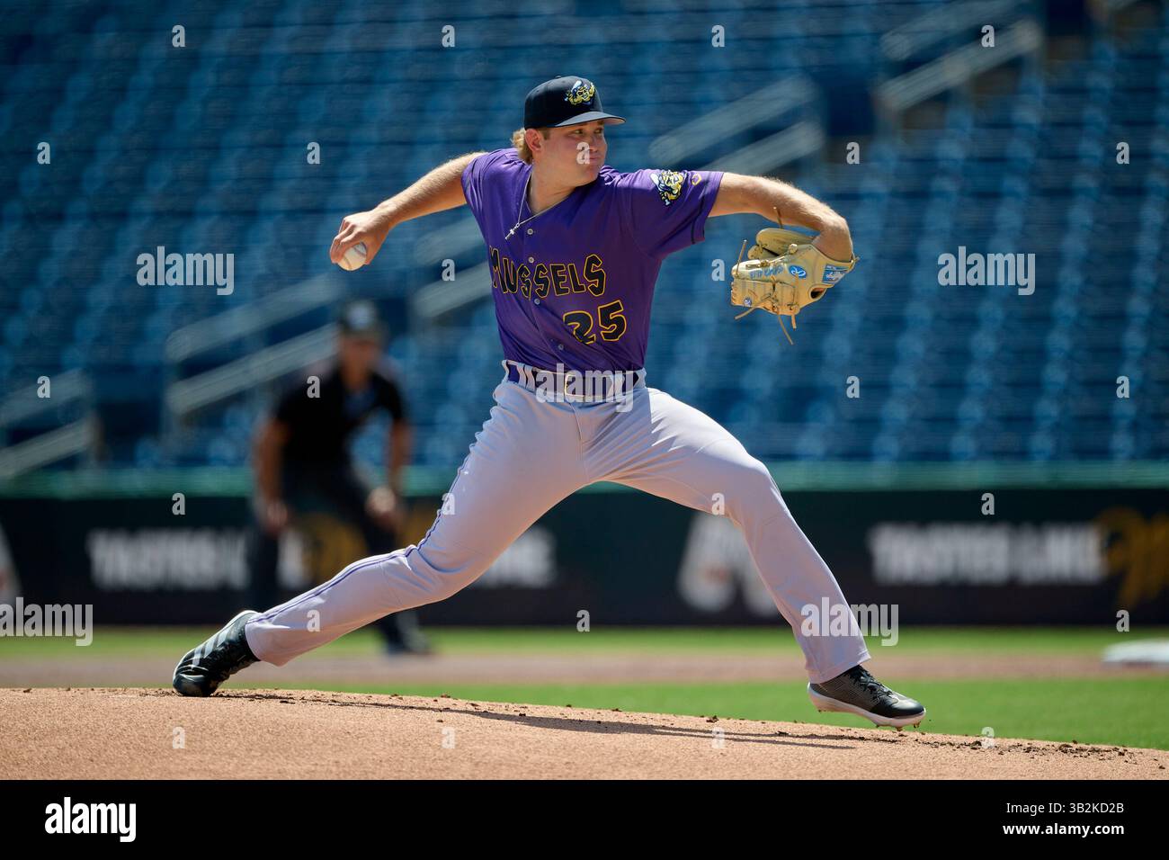 Fort Myers Mighty Mussels pitcher Eli Jones (25) delivers a pitch ...