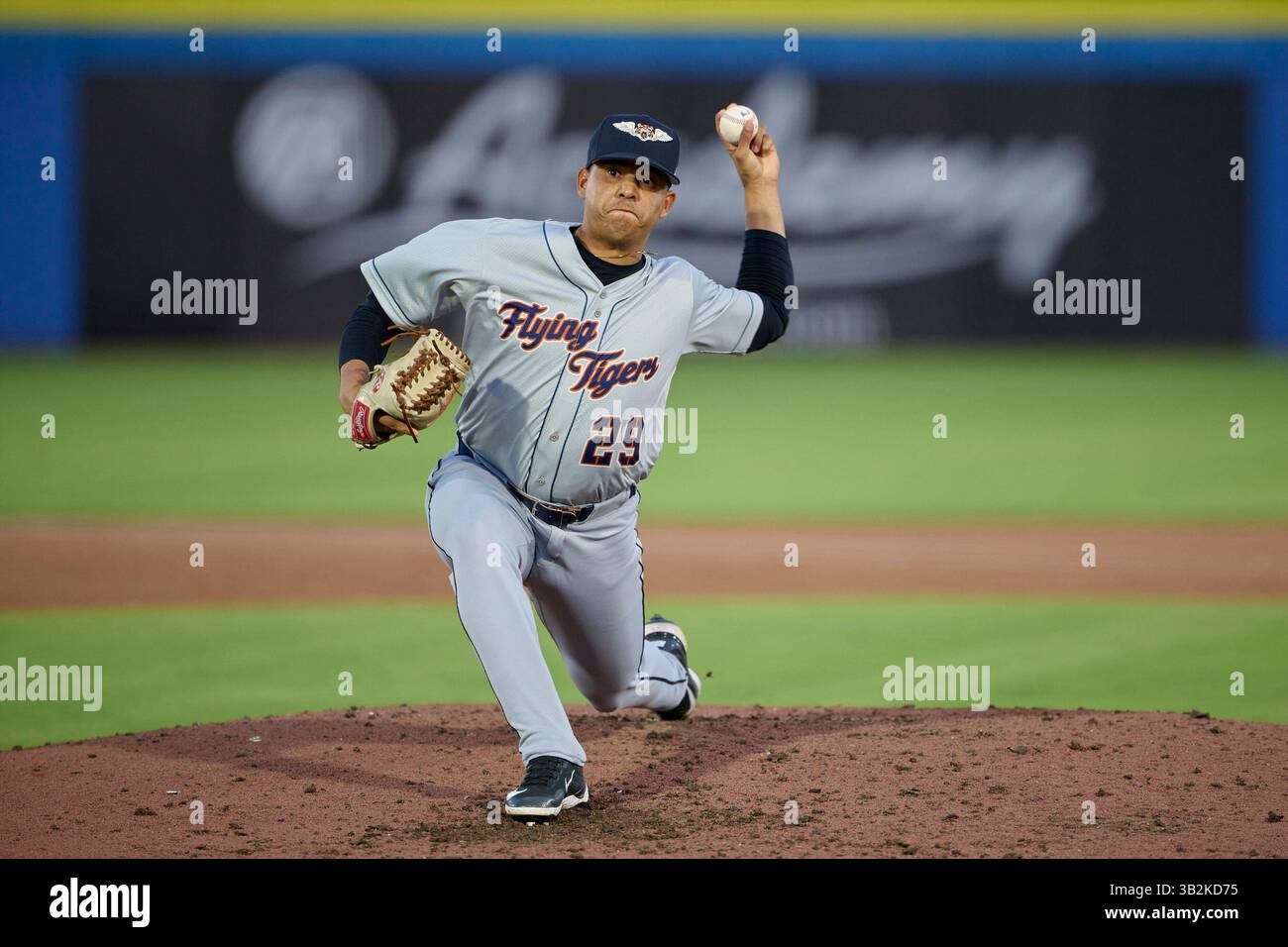 Lakeland Flying Tigers pitcher Ignacio Briceno (29) during an MiLB ...