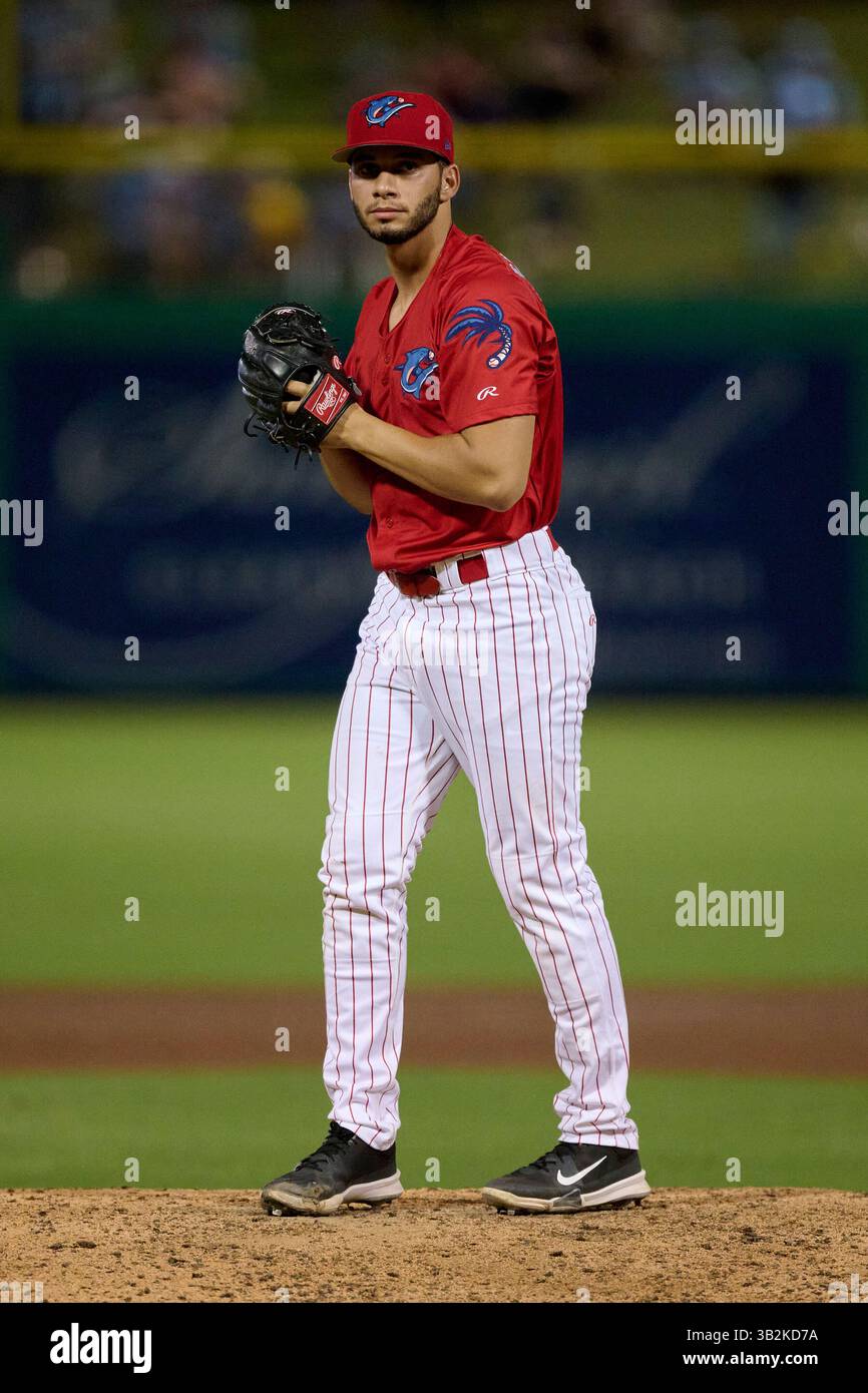 Clearwater Threshers pitcher Gabriel Barbosa (33) gets ready to deliver ...