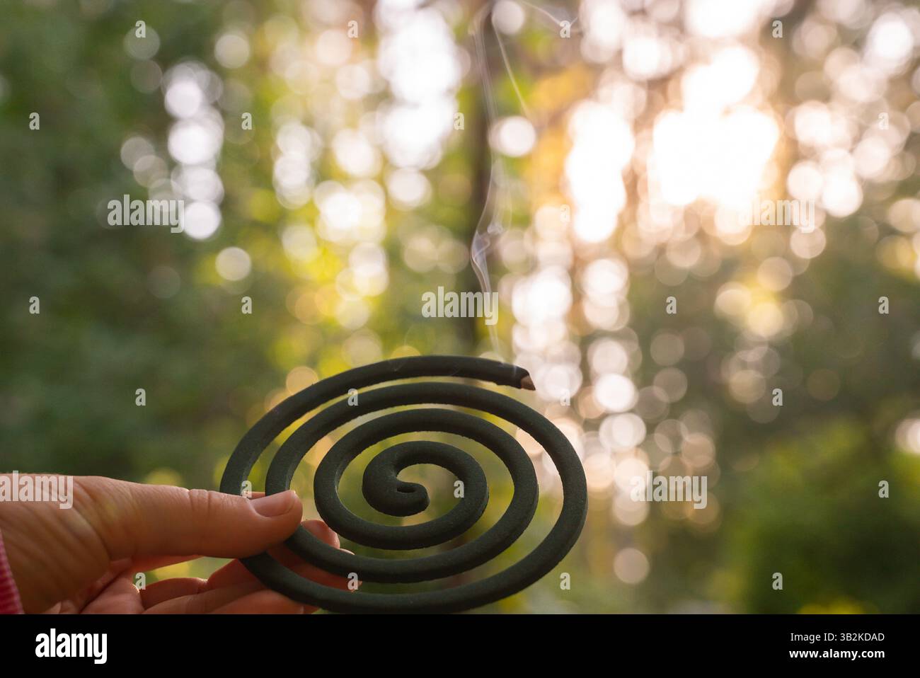 Smoldering mosquito coil spiral insect repellent mosquito insecticide ...