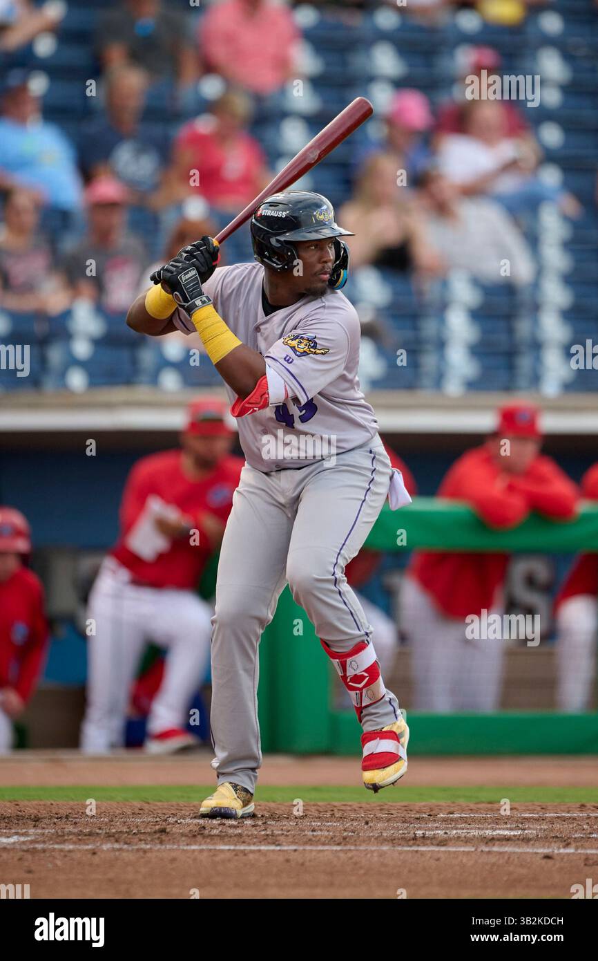 Fort Myers Mighty Mussels Jose Rodriguez (43) bats during an MiLB ...