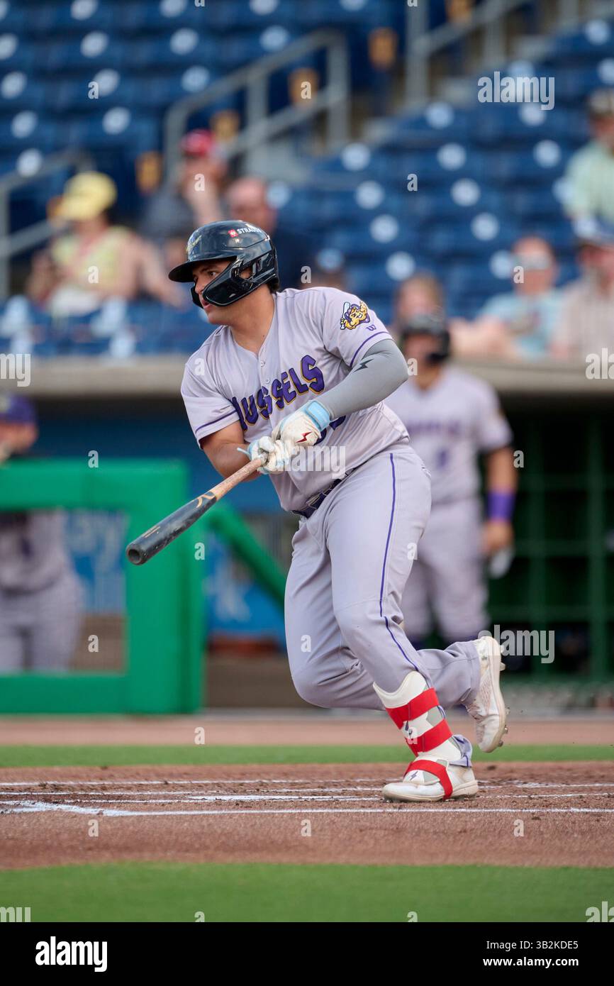 Fort Myers Mighty Mussels catcher Daniel Pena (33) bats during an MiLB ...