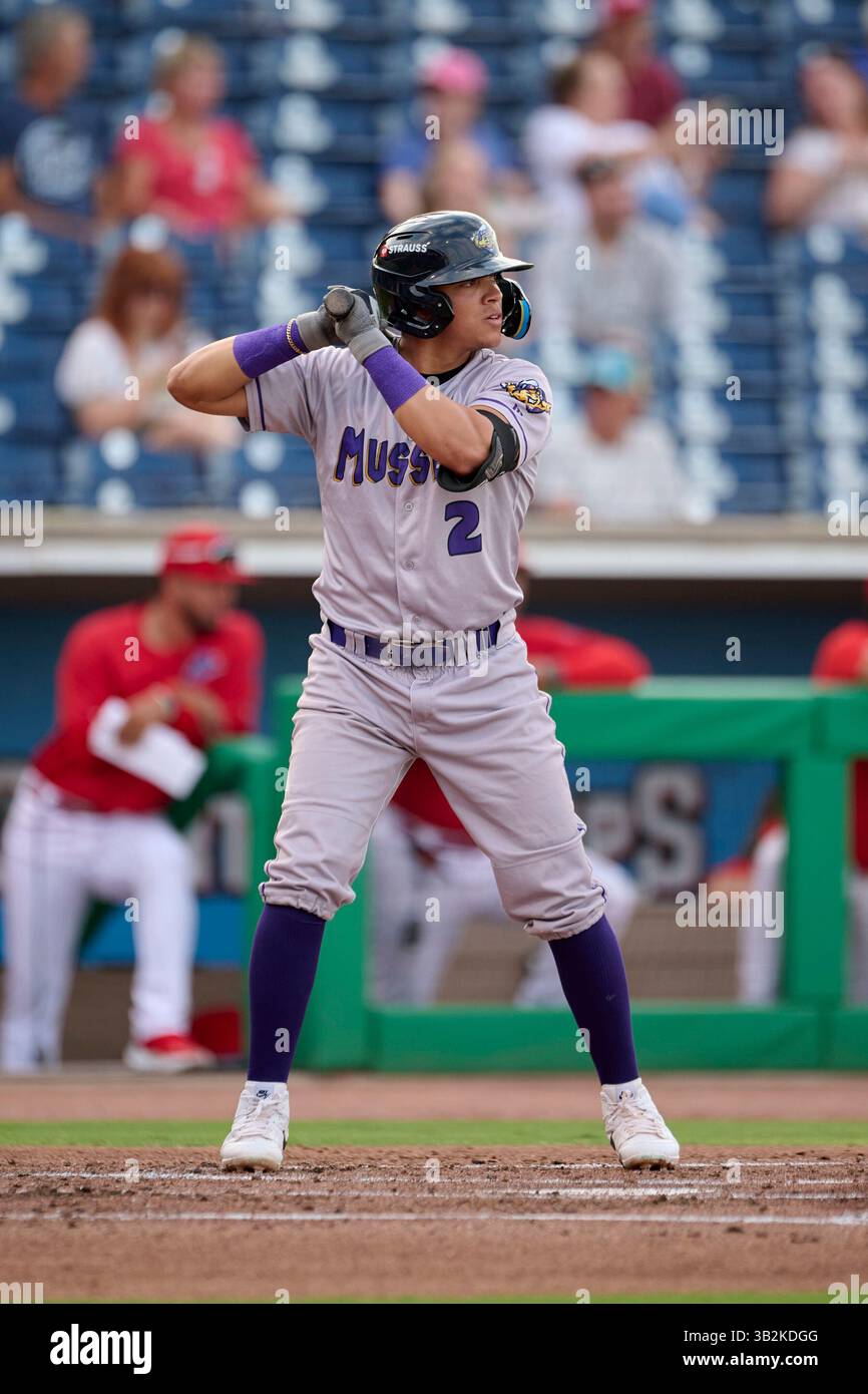 Fort Myers Mighty Mussels Miguel Briceno (2) bats during an MiLB ...