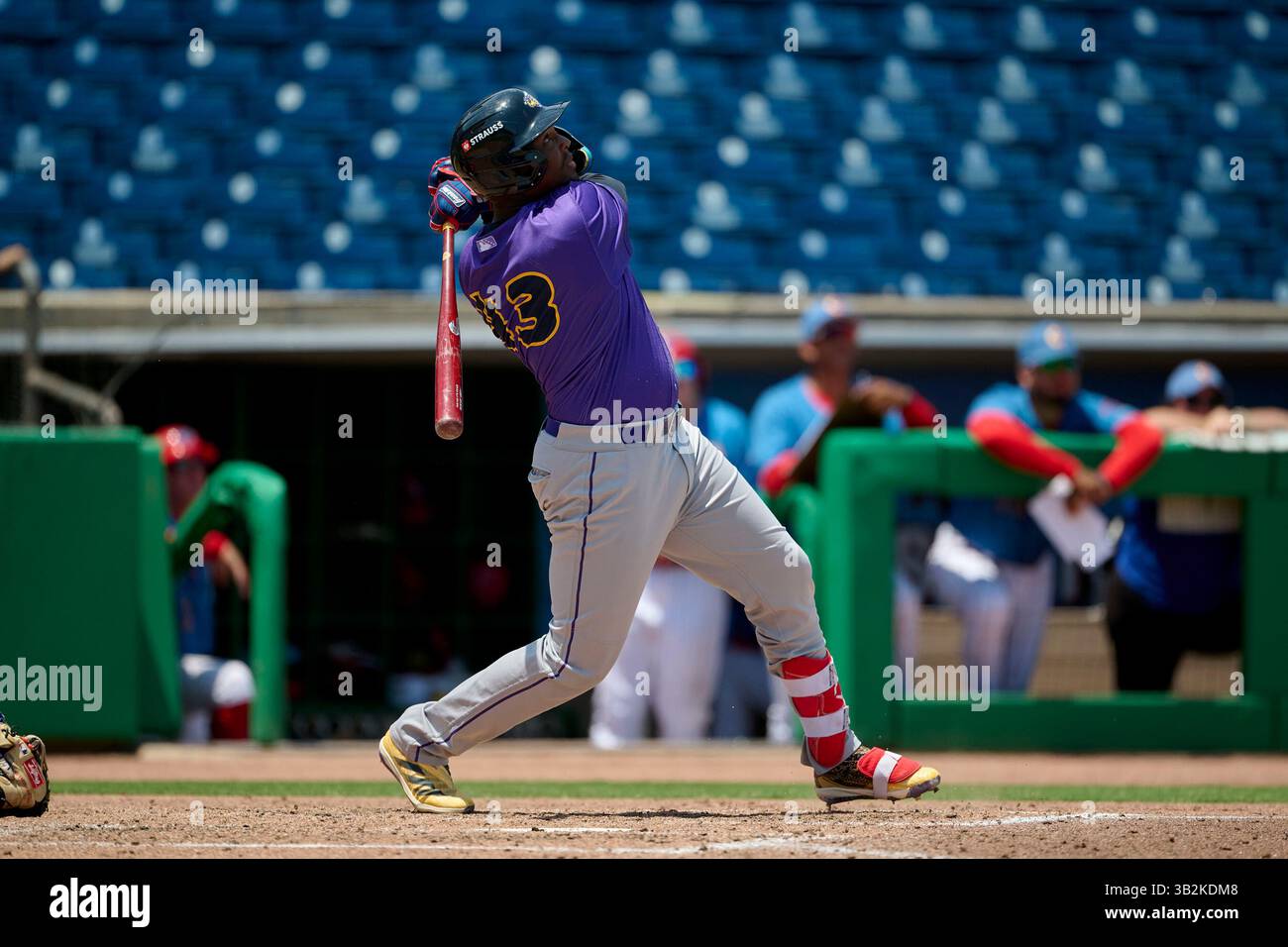 Fort Myers Mighty Mussels Jose Rodriguez (43) bats during an MiLB ...