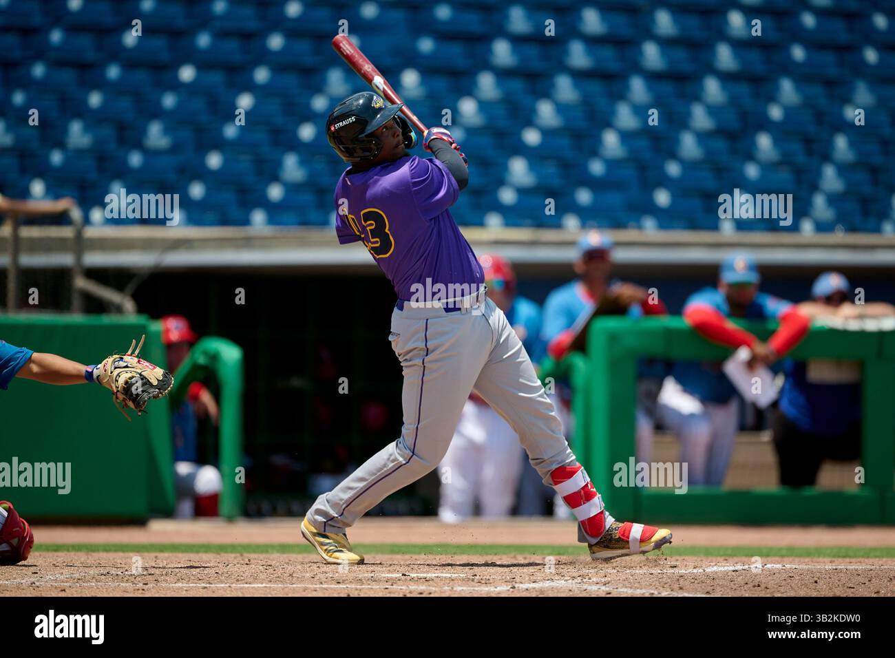 Fort Myers Mighty Mussels Jose Rodriguez (43) bats during an MiLB ...