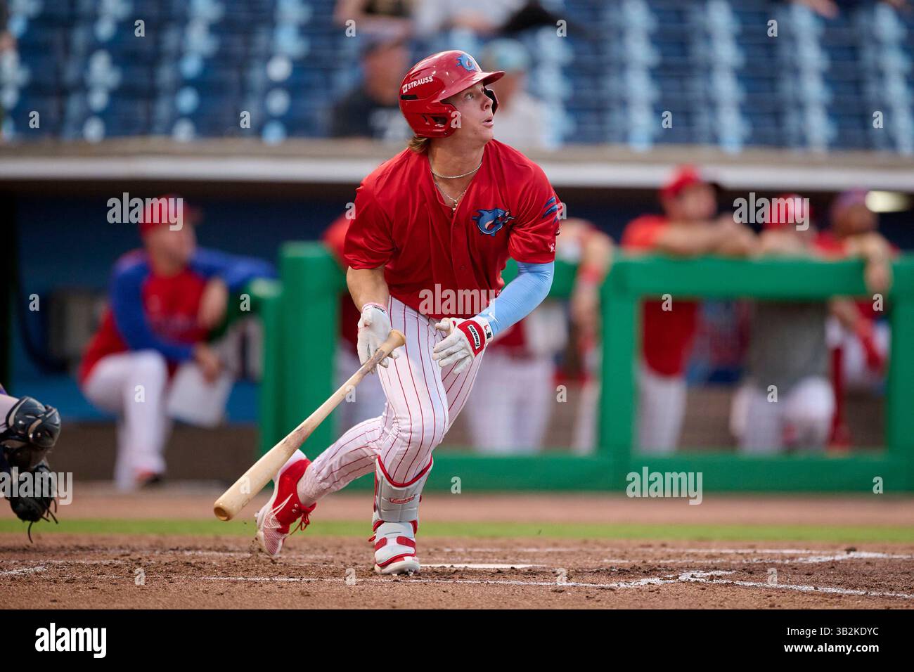Clearwater Threshers Carter Mathison (3) bats during an MiLB Florida ...