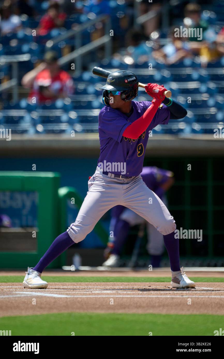 Fort Myers Mighty Mussels Byron Chourio (9) bats during an MiLB Florida ...