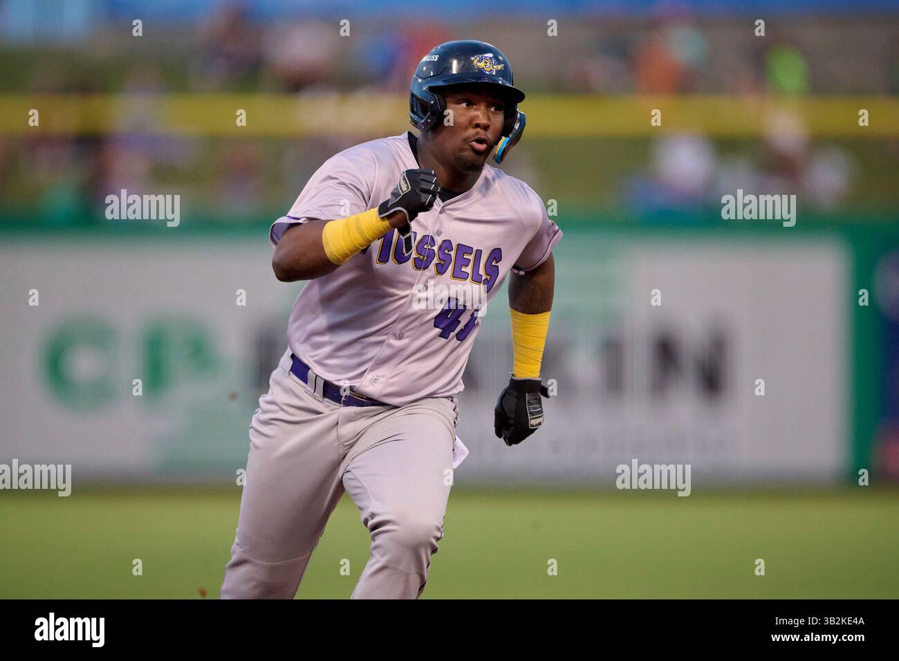 Fort Myers Mighty Mussels Jose Rodriguez (43) rounds third base to ...