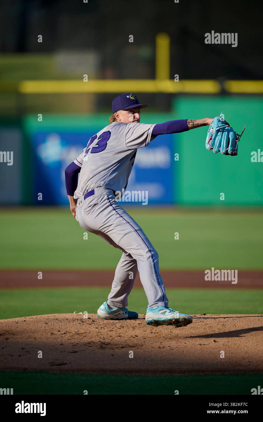 Fort Myers Mighty Mussels pitcher Dasan Hill (23) during an MiLB ...
