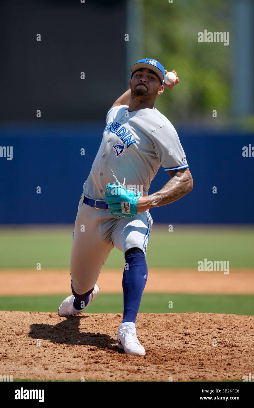 Dunedin Blue Jays pitcher Daniel Guerra (10) during an MiLB Florida ...