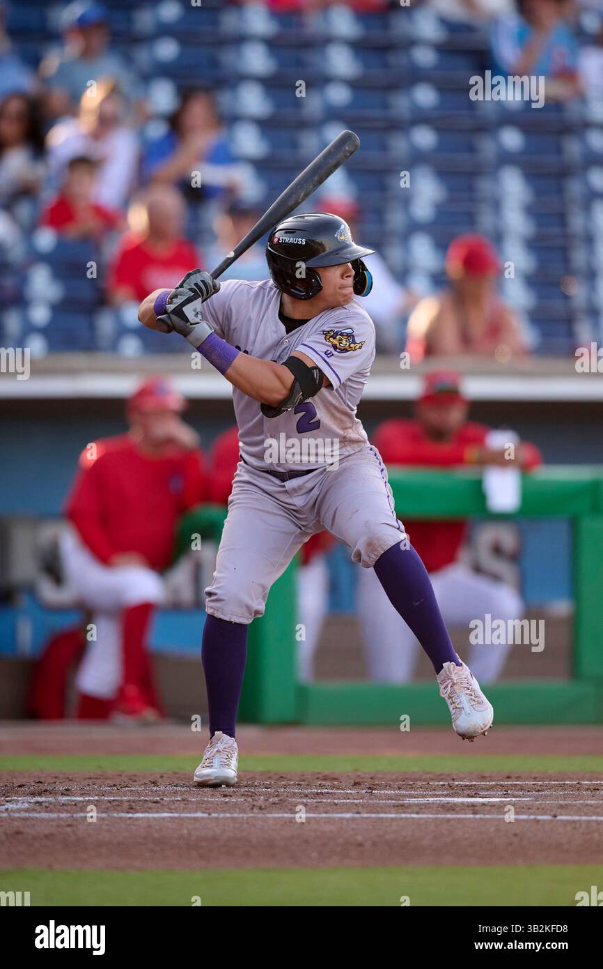 Fort Myers Mighty Mussels Miguel Briceno (2) bats during an MiLB ...