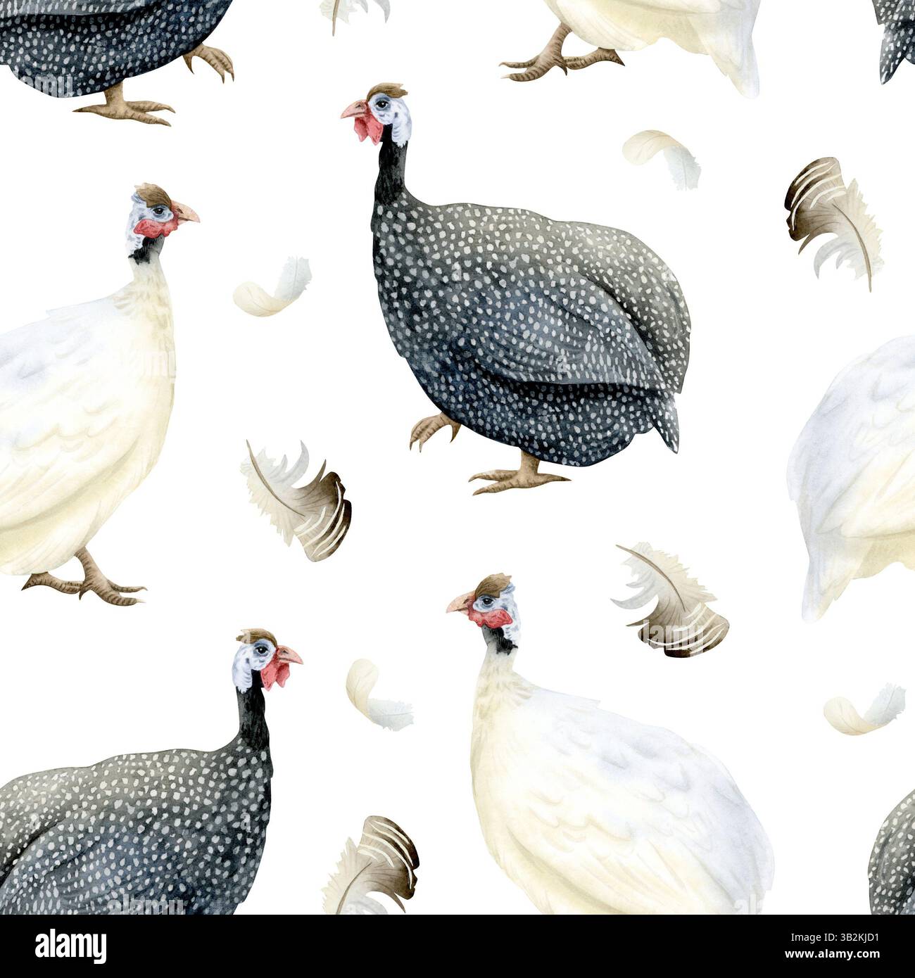 White and grey spotted guinea fowls with feathers watercolor seamless ...