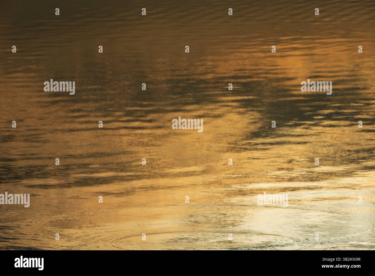 Morning Glow: Sun Reflections on the Lake Canvas Stock Photo - Alamy