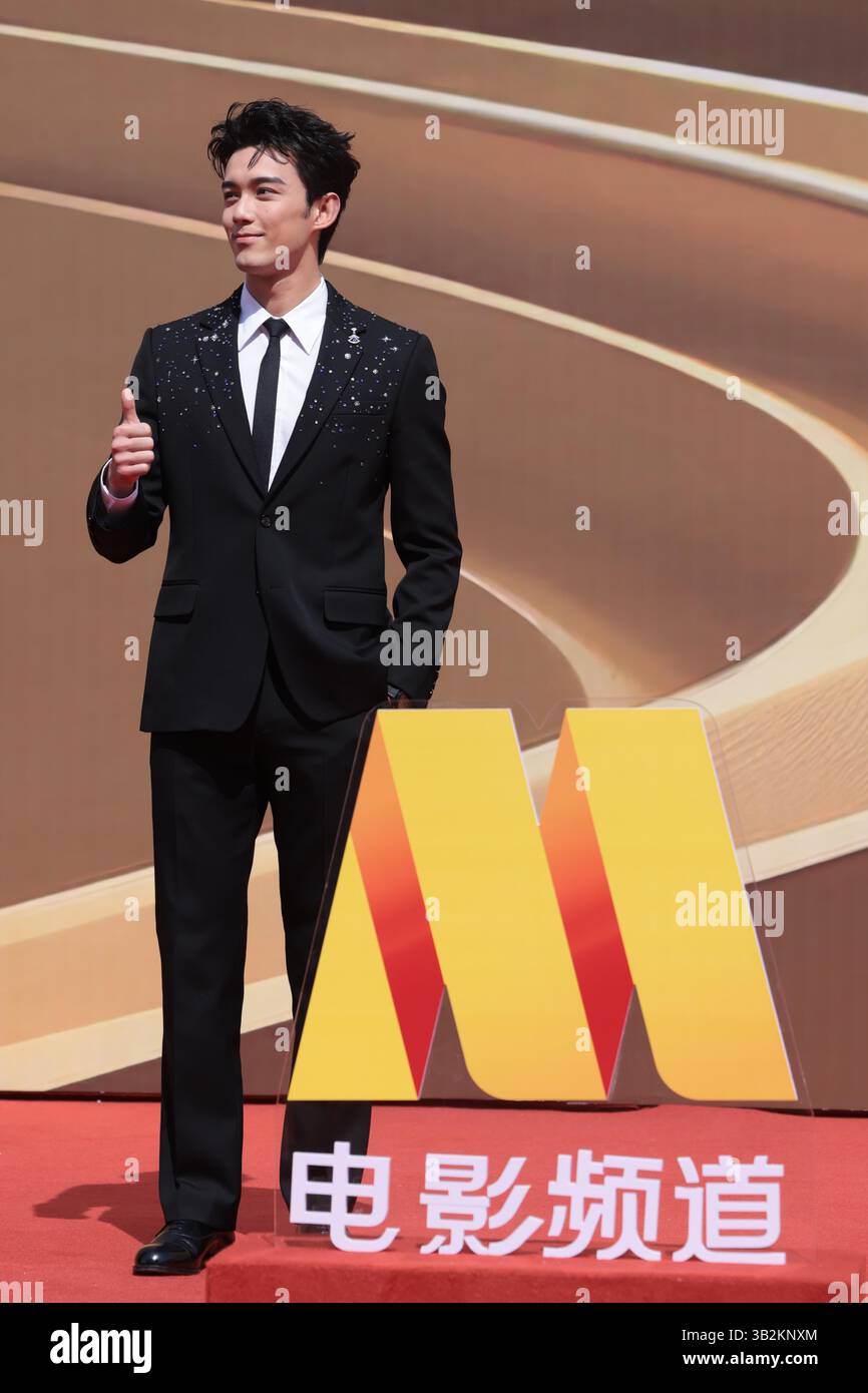 Chinese actor Leo Wu poses on the red carpet at the 20th Huabiao Film ...
