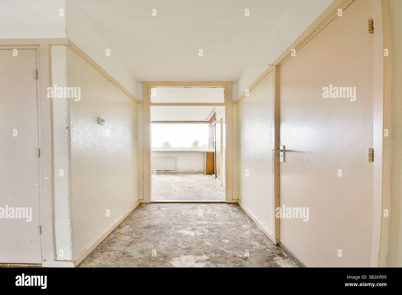 A vacant hallway showcasing light-colored walls and subtle decor ...