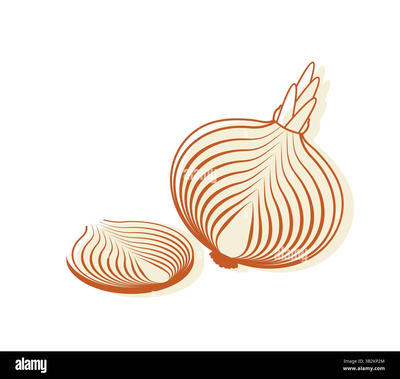 Onion bulb sign icon. Onion slice isolated. Vegetable symbol Stock ...