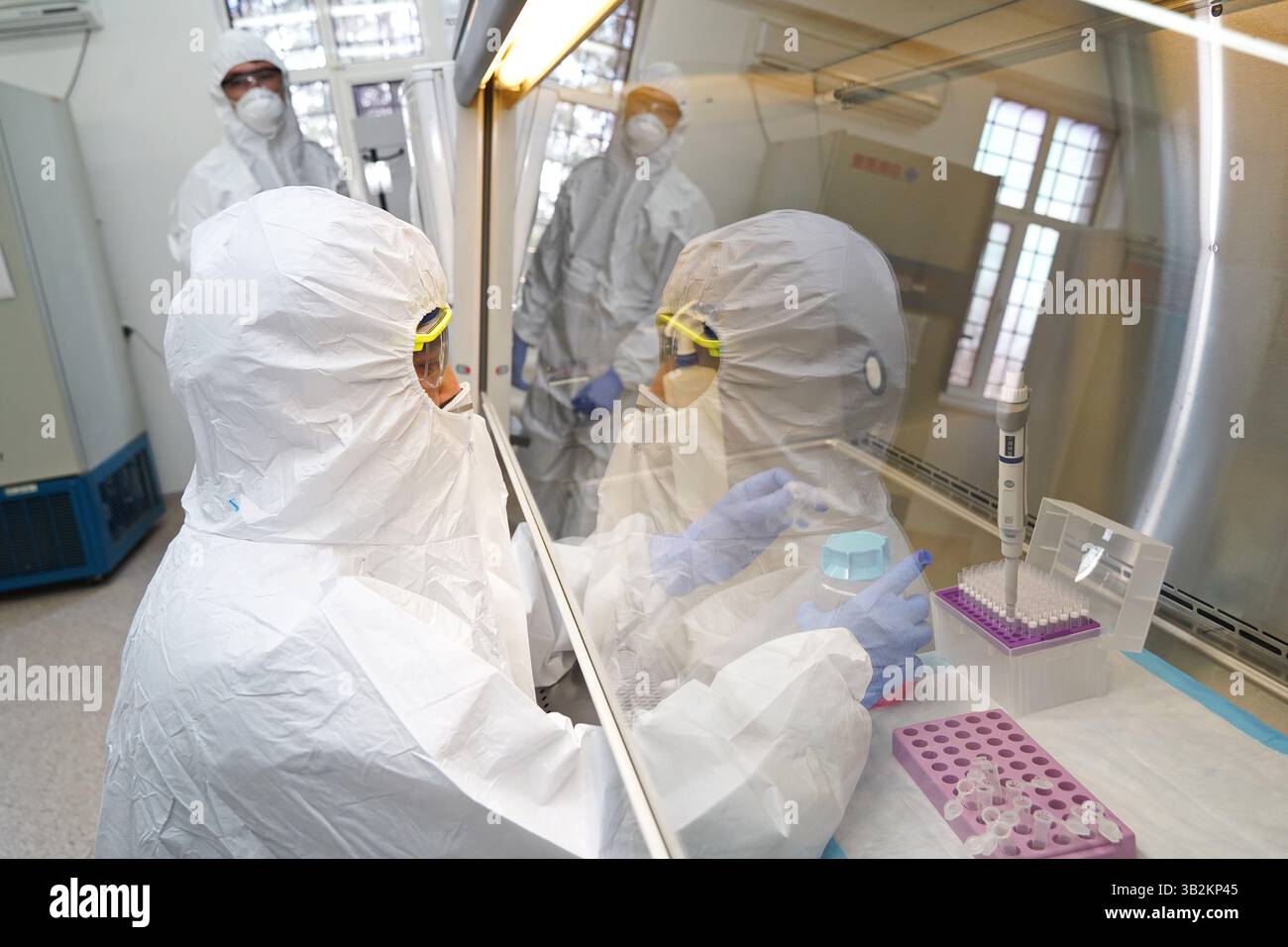 Analyze microbiology hi-res stock photography and images - Alamy