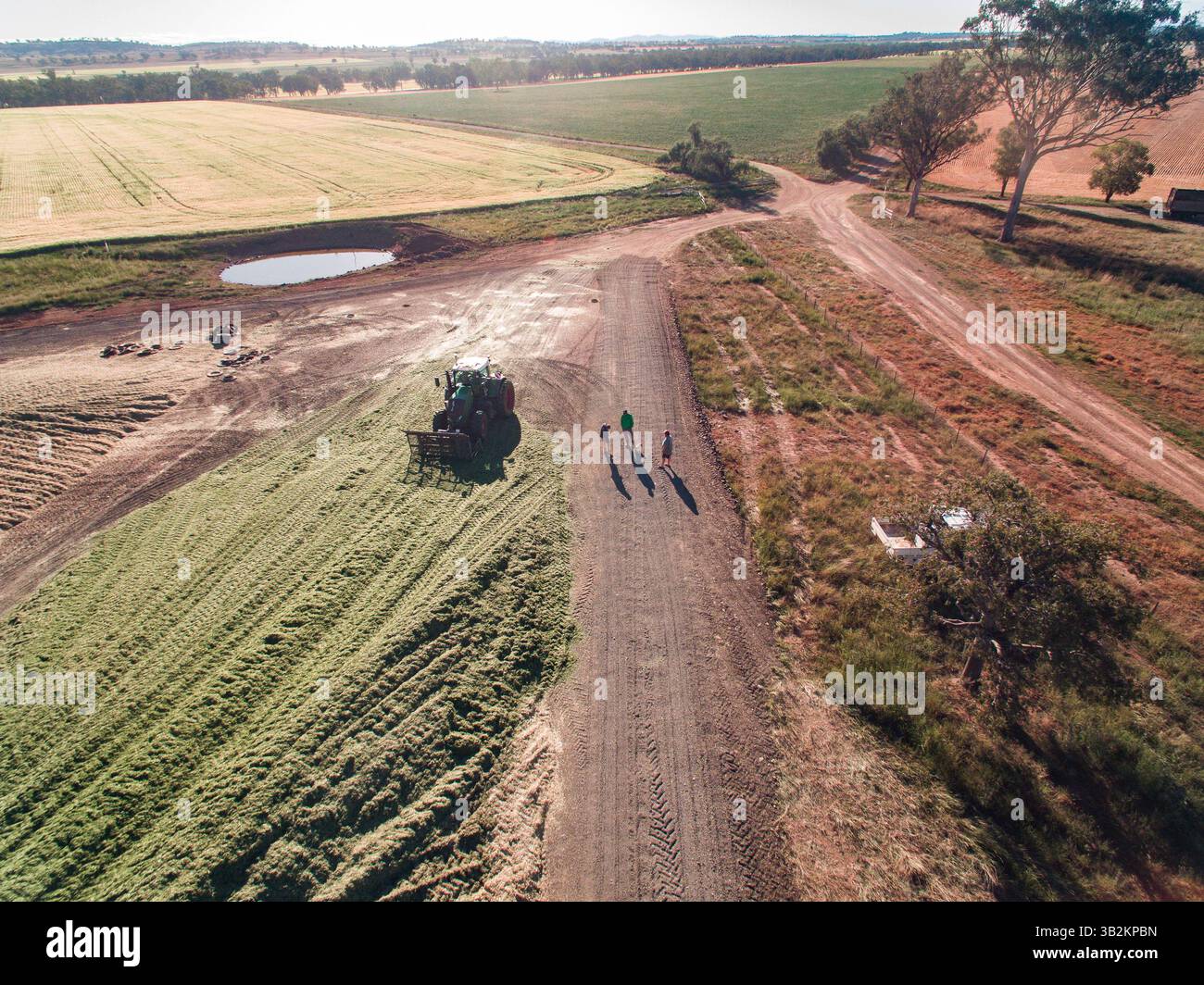 Machine harvest of vegetable crops hi-res stock photography and images ...