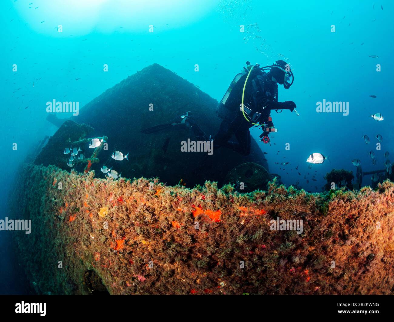 scuba diver diving on a sunken ship in the ocean Stock Photo - Alamy