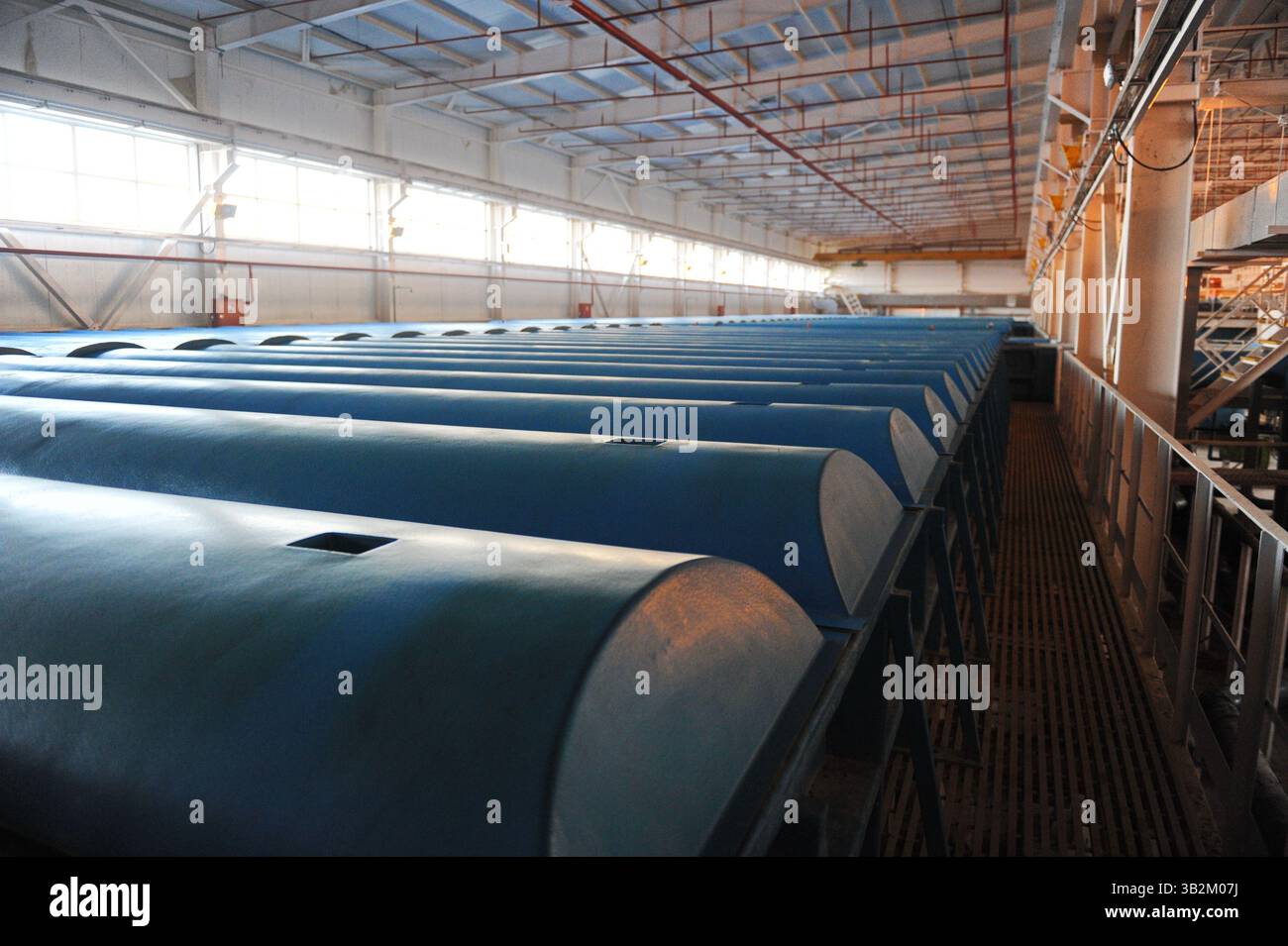 The metal hoists are arranged in a row in the copper cathode cleaning ...