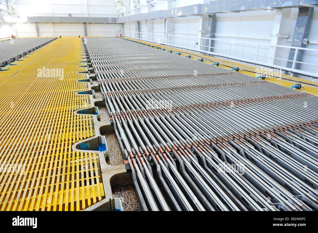 The metal hoists are arranged in a row in the copper cathode cleaning ...