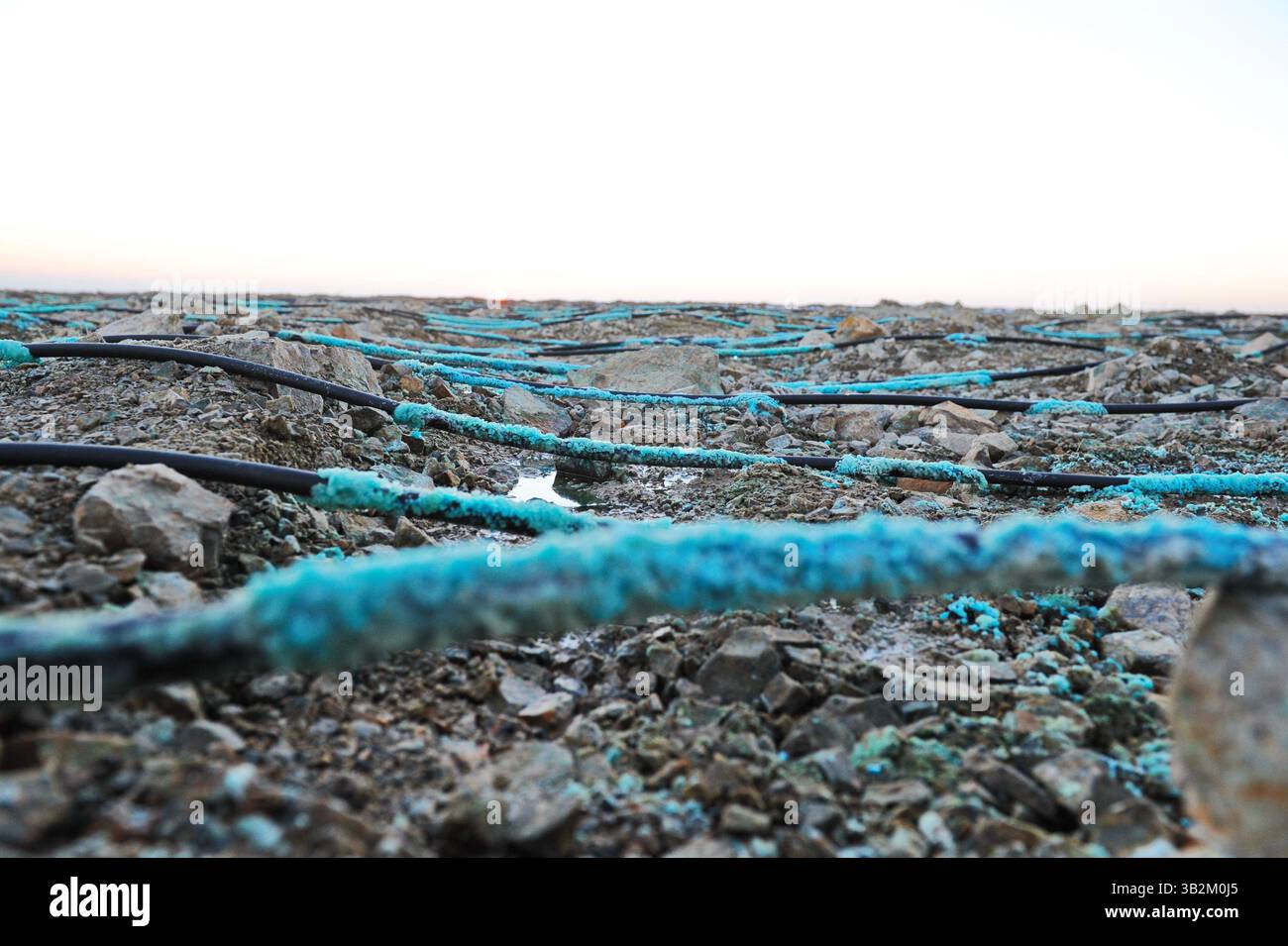 The process of copper oxidation and the appearance of patina on the ...