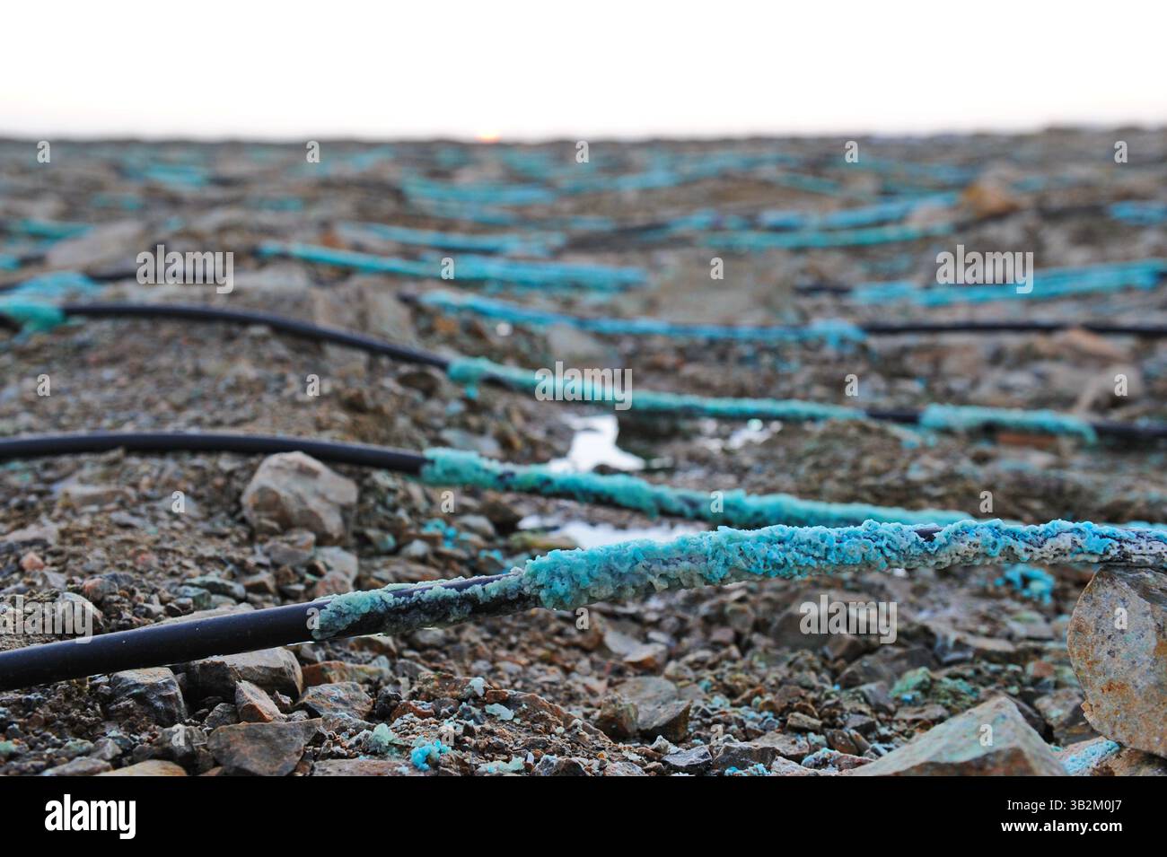 The process of copper oxidation and the appearance of patina on the ...