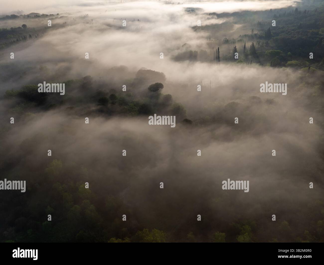 Aerial view of a foggy forest, with dense clouds blanketing the ...
