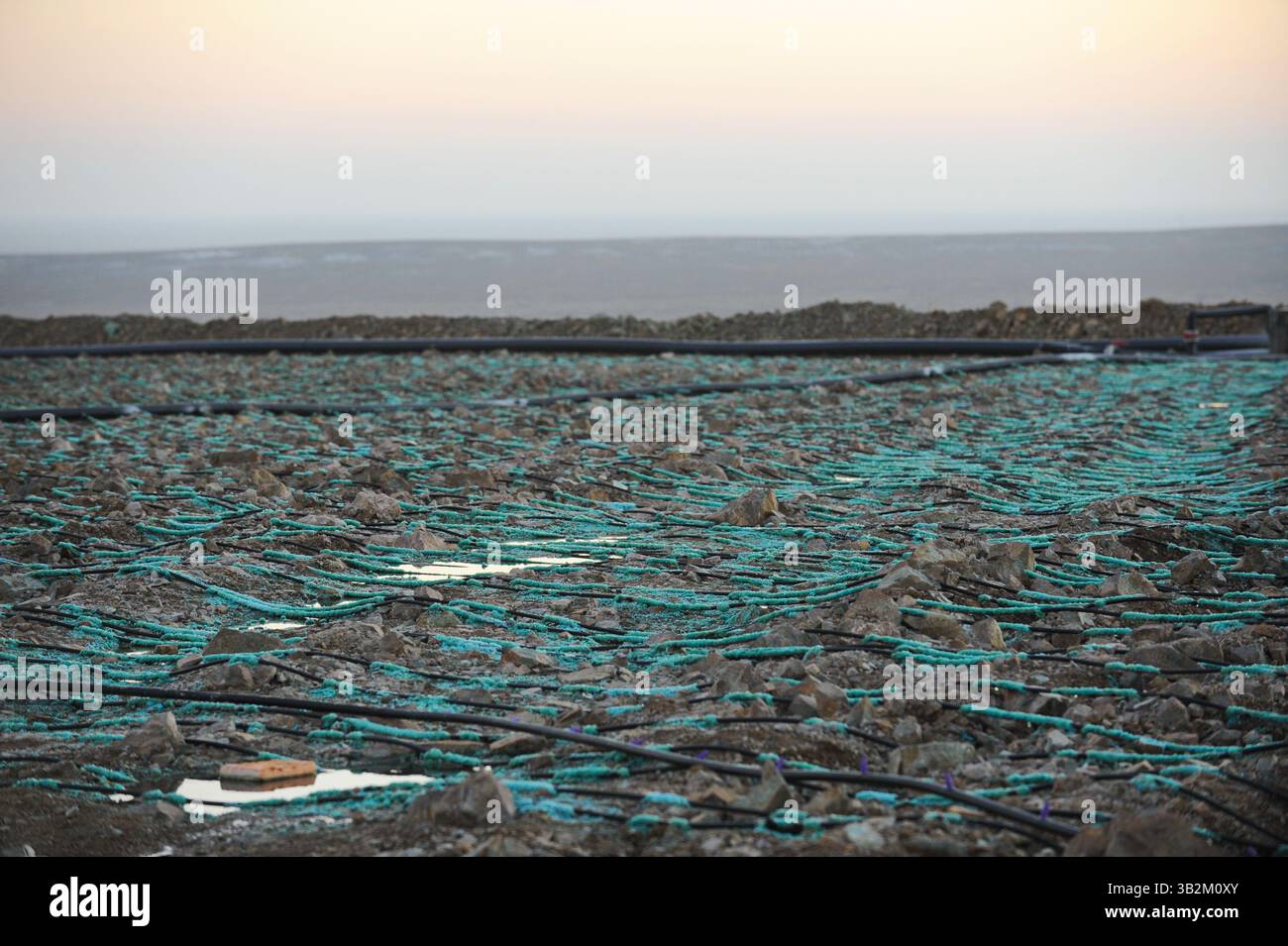 The process of copper oxidation and the appearance of patina on the ...