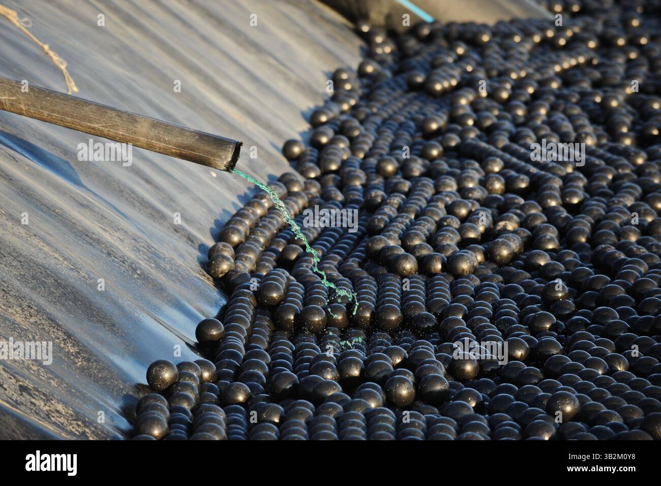 The chemical tank is covered with plastic balls to slow evaporation at ...