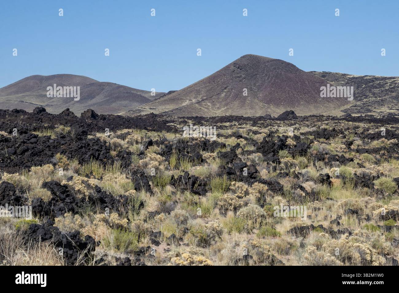 A vast expanse of lava rocks and scattered vegetation stretches across ...