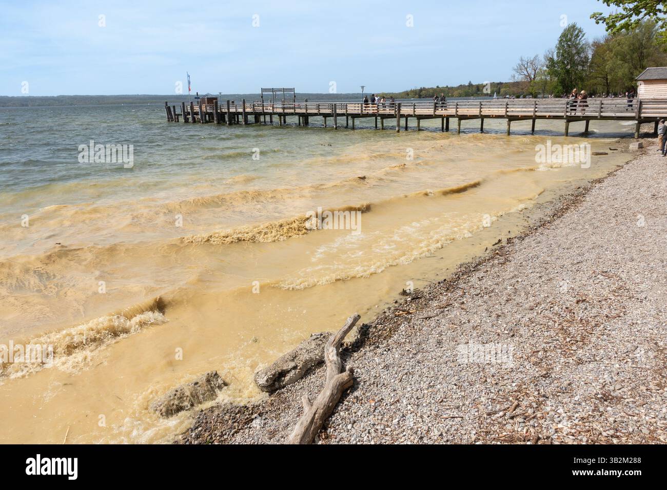 Pollen on water surface hi-res stock photography and images - Alamy