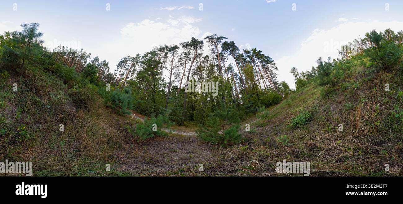 Full seamless 360 degree angle view spherical HDRi panorama of green ...