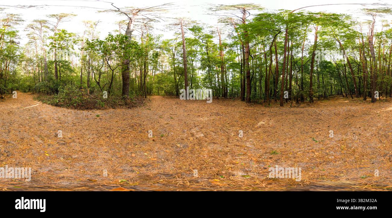 Full seamless 360 degree angle view spherical HDRi panorama of green ...