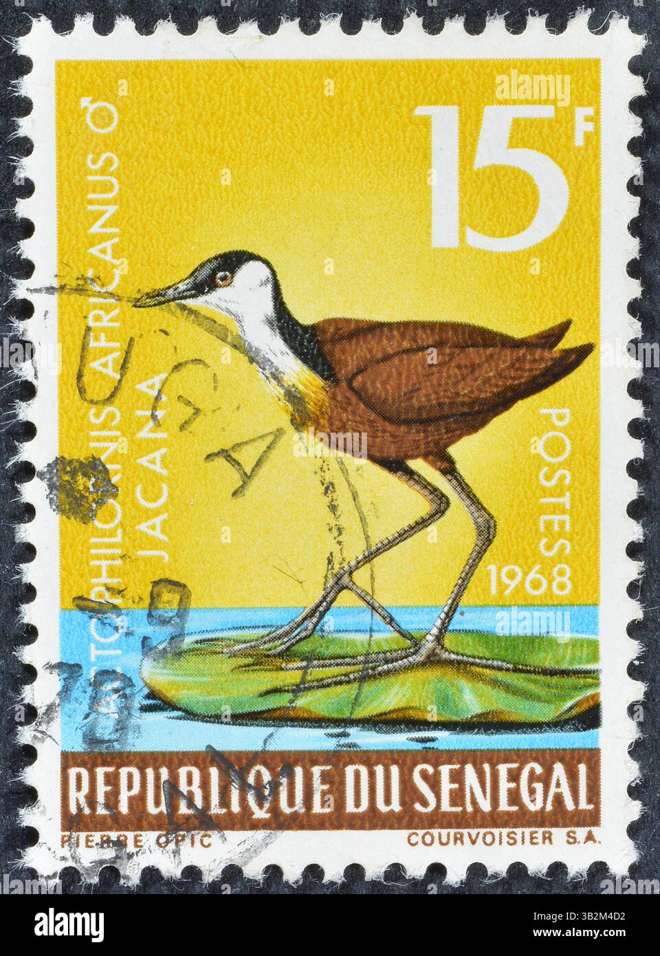 Cancelled postage stamp printed by Senegal, that shows African Jacana ...