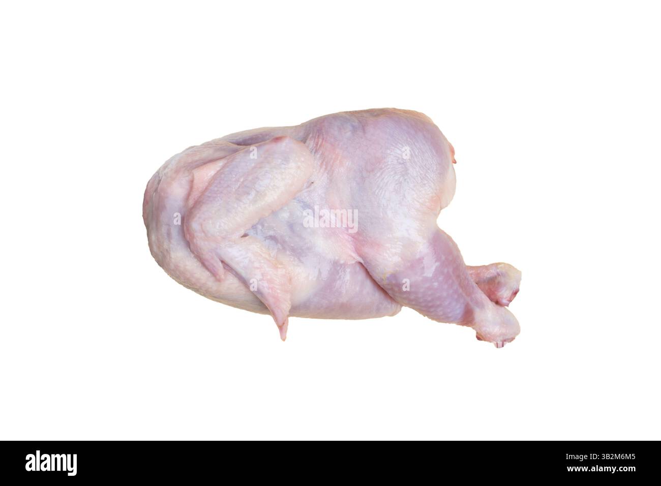 Fresh raw chicken isolated on white background with clipping path. Side ...